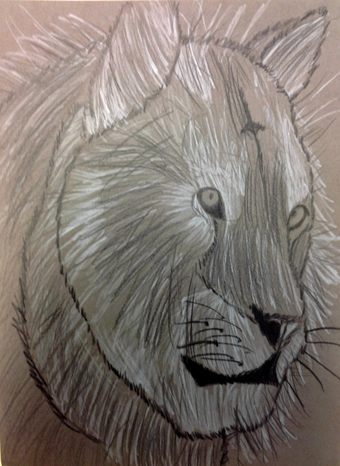 FURRY FELINES - Texture Drawing