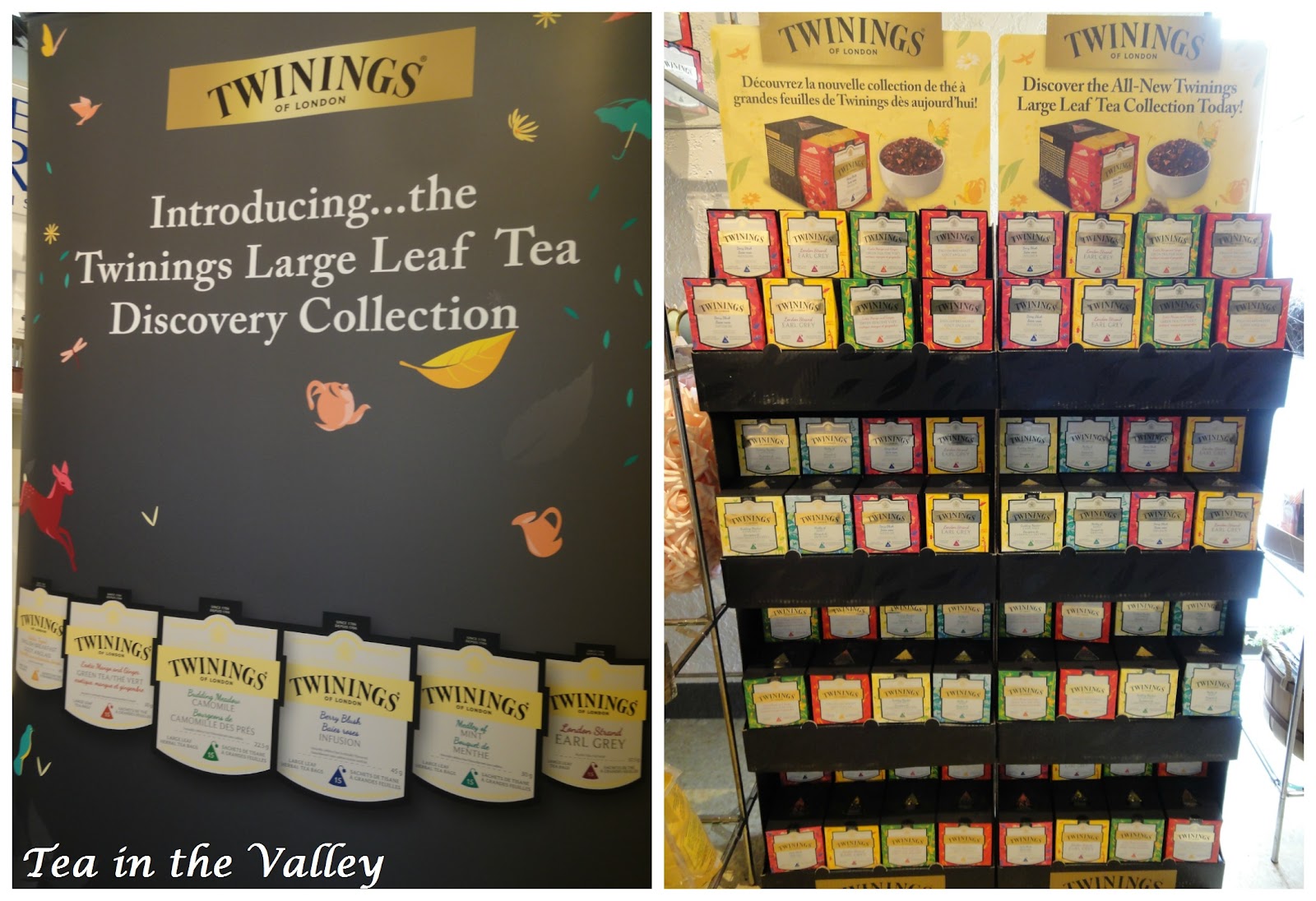 Tea in the Valley: Twinings Tea Tasting with Stephen Twining