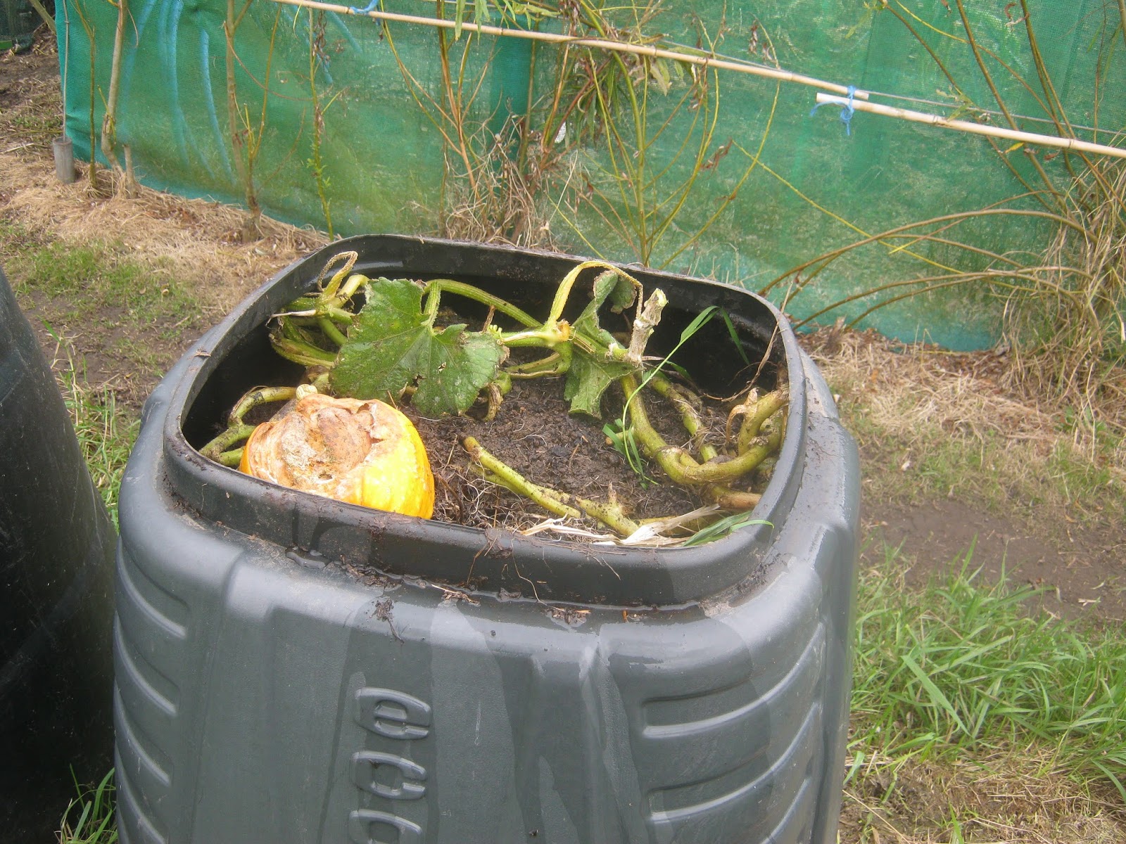 Allotment With A Sea View