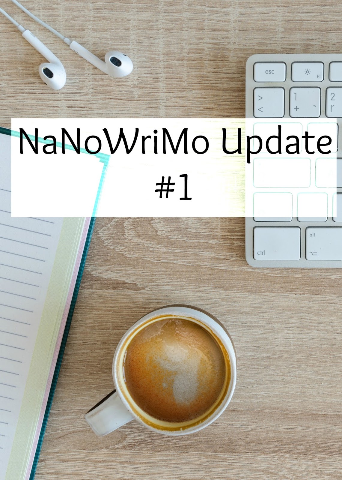 NaNoWriMo Update #1