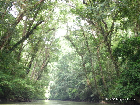 NL LIEW's Blog: Ulu Jelai - River of tranquillity under threat