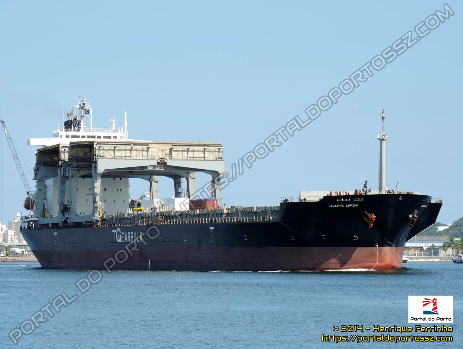 Jacamar Arrow - Portal do Porto