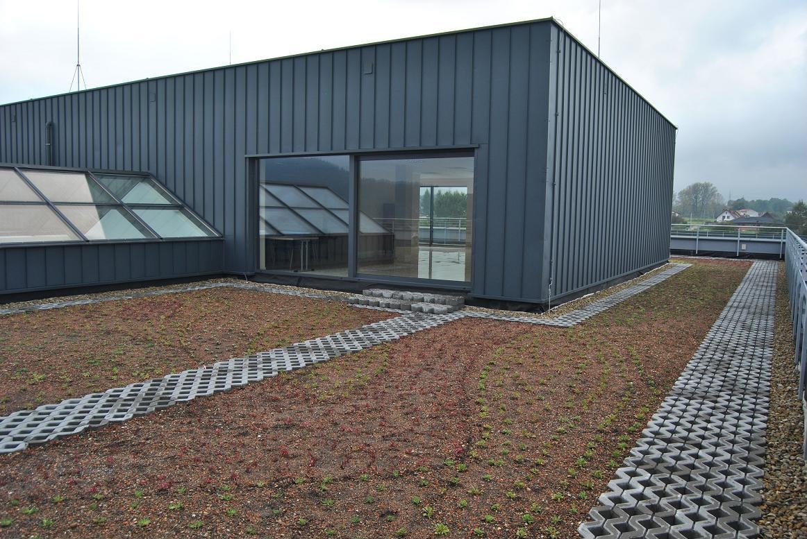 Czystsze Inspiracje: Zielony dach w firmie MCD Electronics | Polski ...