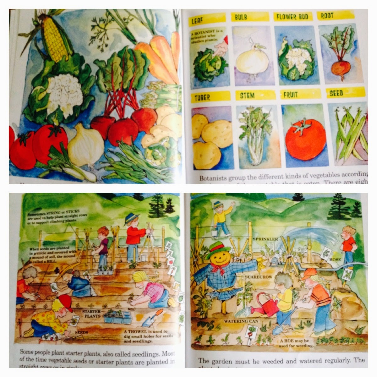 Calyx Glass Blog: August 2014