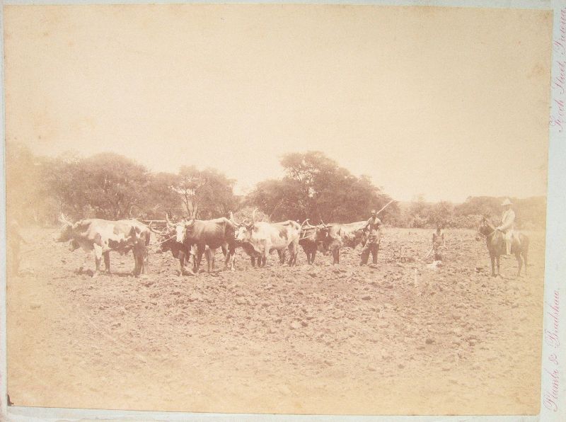 Melvin Residence: The Early History of Irene Farm