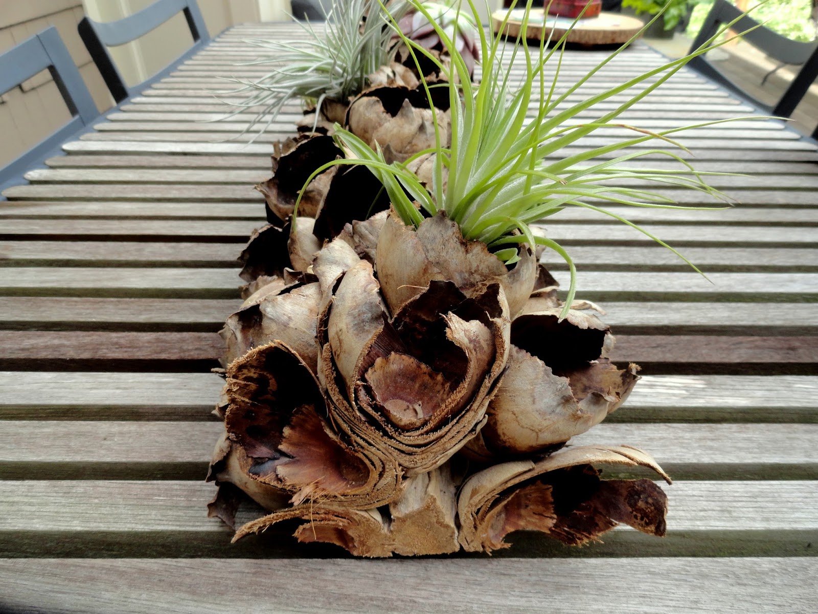 danger garden: The garden of Debbie Friedman, a stop on the Garden ...