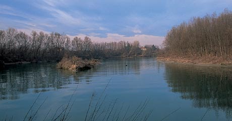 Roads to the Great War: 100 Years Ago: The Battle of the Piave Opens on ...