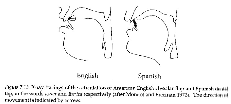 John Wells’s phonetic blog: tap, tap