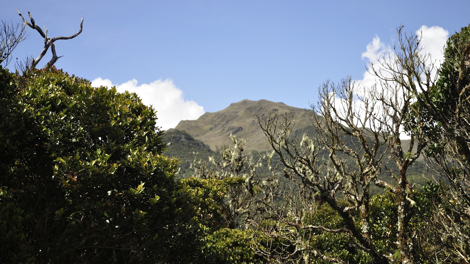I Am A Pilgrim: Mt. Pulag Chronicles: The Climb