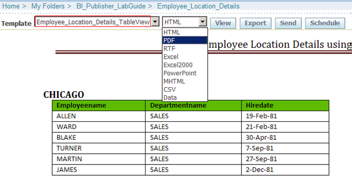 Publishing the template for a BI Publisher Report