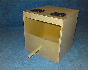 pasari-exotice.blogspot.com: Cinteza australiana zebrata (Zebra Finch)