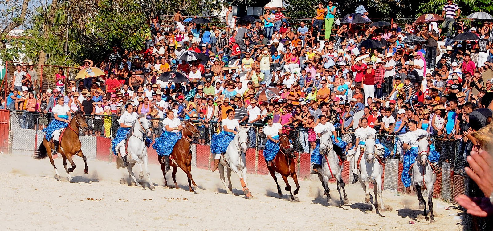 El ojo que te ve: EL RODEO CUBANO VIVE