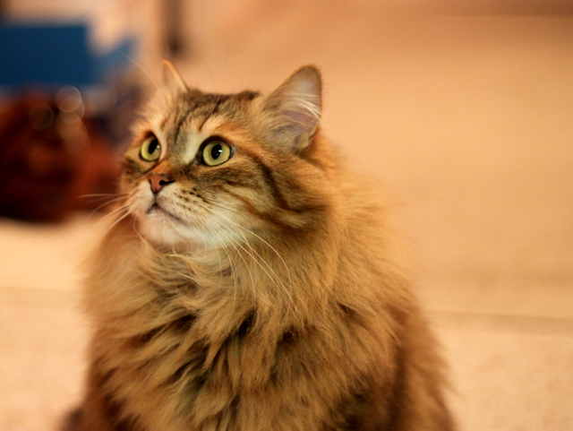 Cation Designs: Back from the UK!