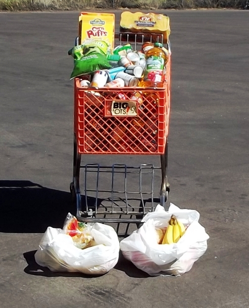 ONE CAN A WEEK Food Donation Program: 196th Week Update - Miles ...