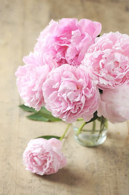 Best Pinterest Flowers!