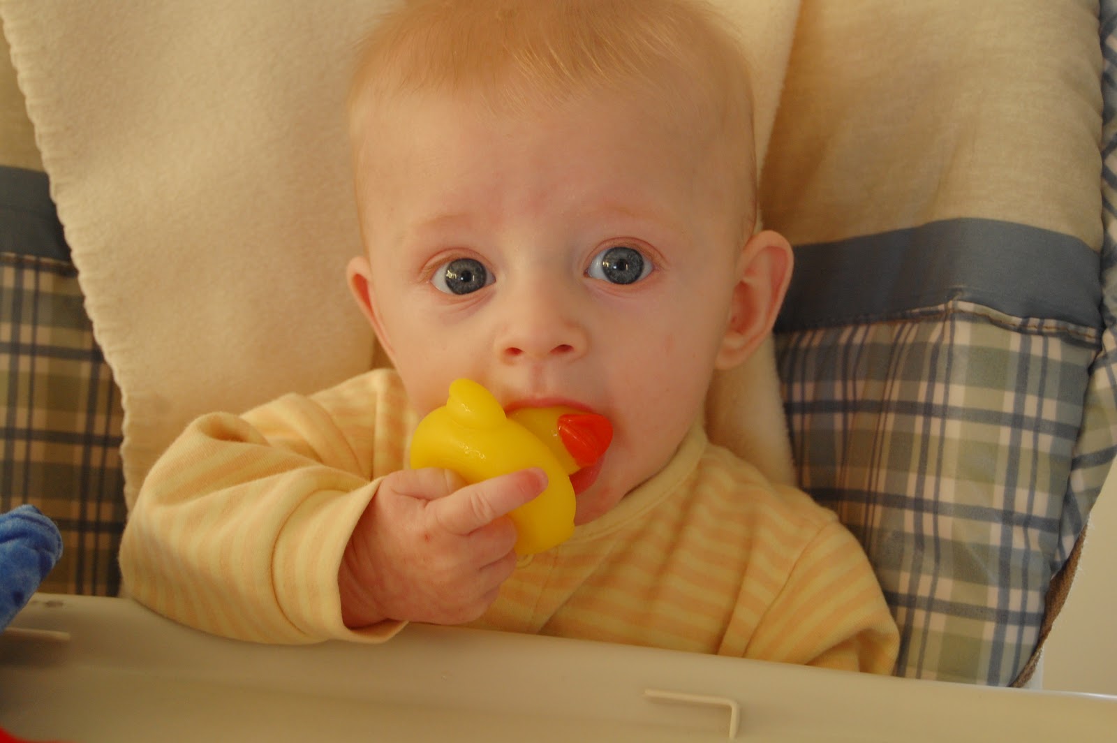 Blog Of A Different Color My Baby Is Weird
