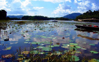 BETEL, BANYAN, BASIL & BAMBOO: The Dragon of Lake Chini