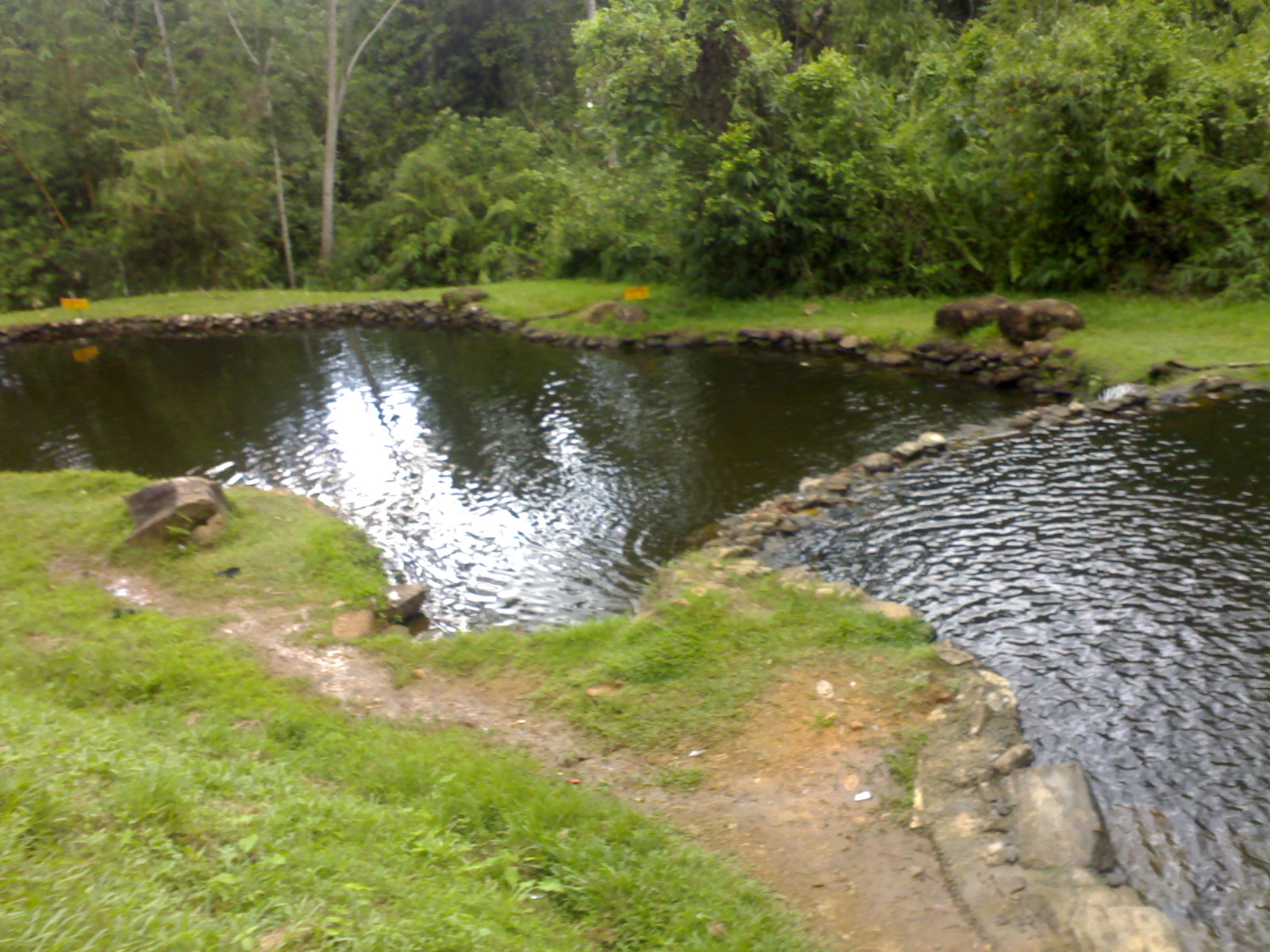 SARELI - සරැළි: Duli Ella fall at Neluwa - දුලි ඇල්ල - සිංහරාජ රක්ෂිතය.