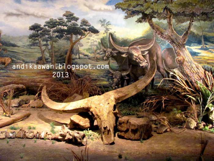 Penikmat Perjalanan: Museum Manusia Purba Sangiran - The Homeland of ...