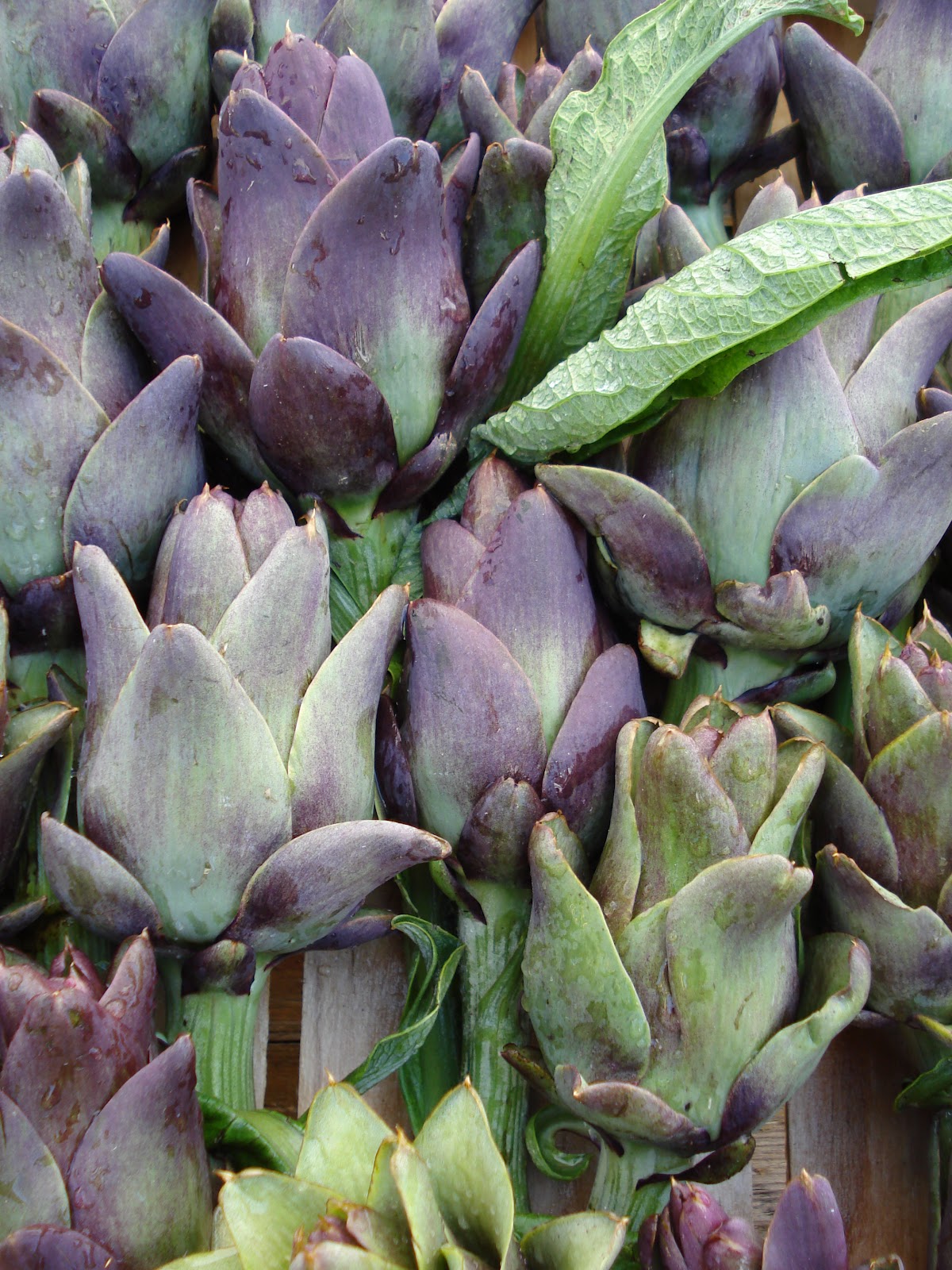 Giampiero Rorato: I piatti della primavera