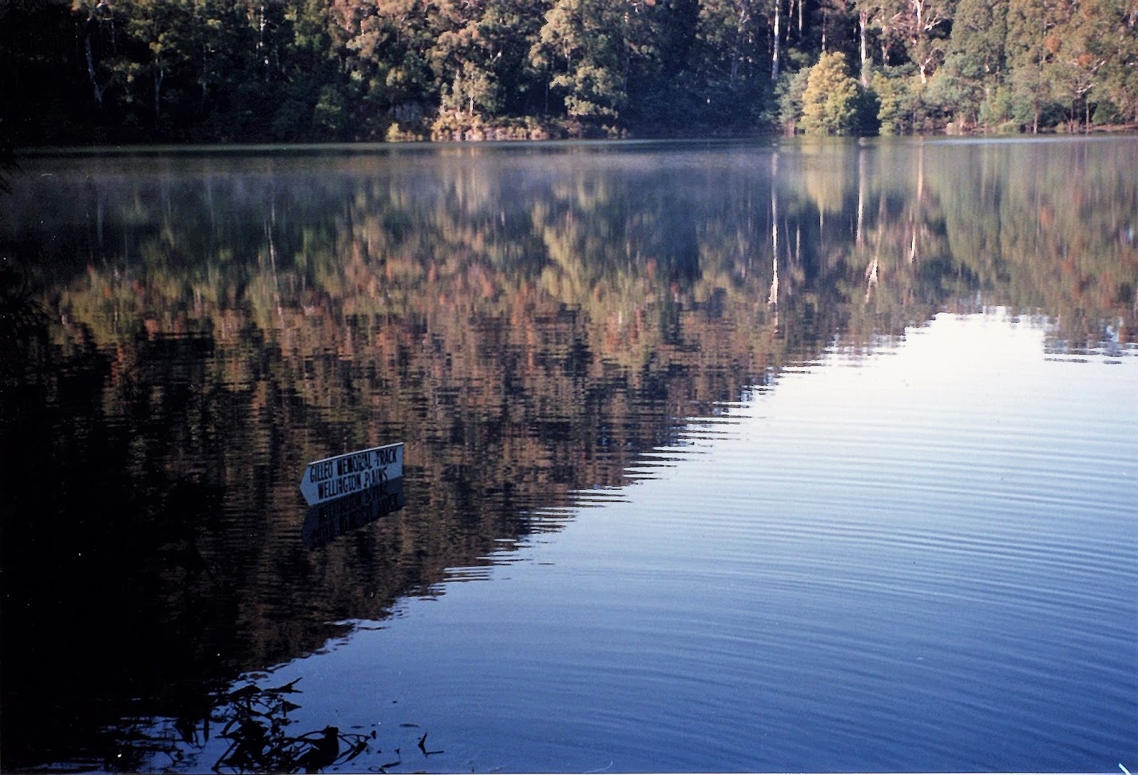 Goin' Feral One Day At A Time: Lake Tali Karng, Alpine National Park ...