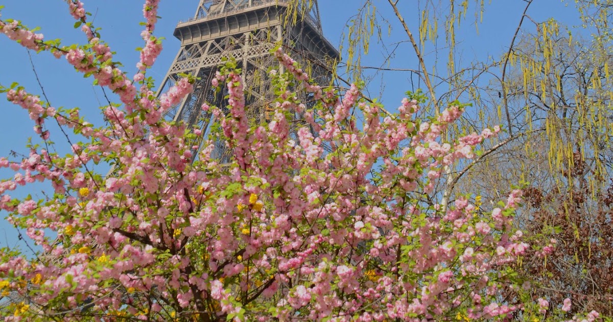 Paris and Beyond: Paris au printemps