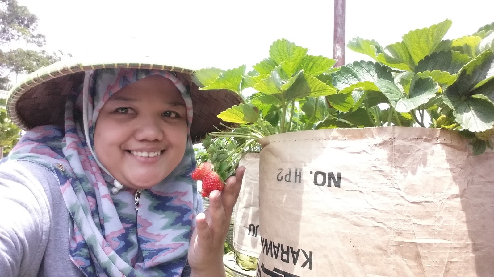 Aku, Dia dan Kehidupan! : PENGALAMAN MELANCONG KE BANDUNG 5 - 8 ...