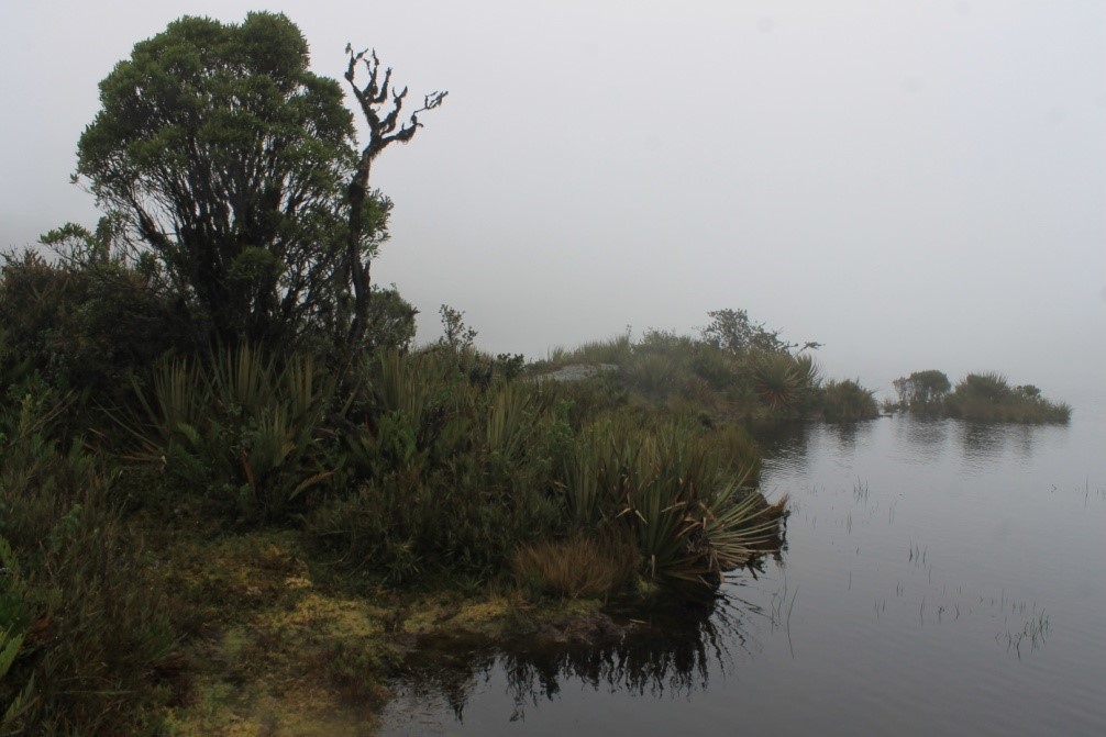 POMCA RIO GARAGOA: septiembre 2016