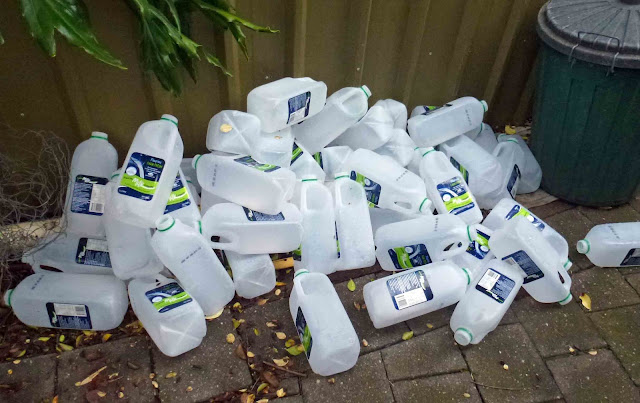 SPARKLY LADIES!: Reduce, Reuse, Recycle with these Milk Container ...