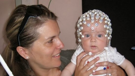 Bebês têm consciência a partir dos cinco meses de idade ~ Biólogo Esperto