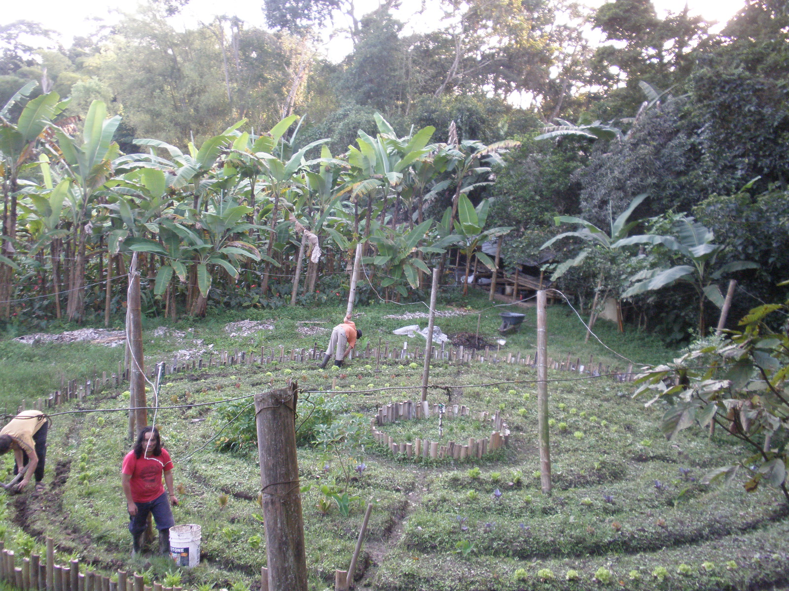 ESCUELA DEL CAMPO Y LA VIDA: HUERTA MANDALA