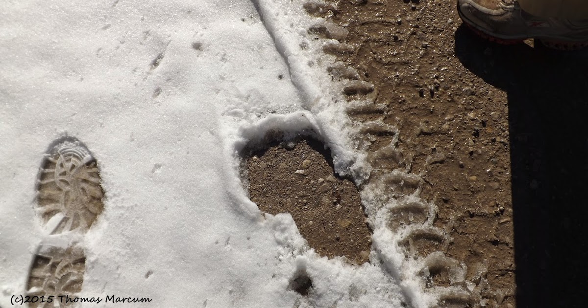 Possible Bigfoot Snow Tracks | The Crypto Crew