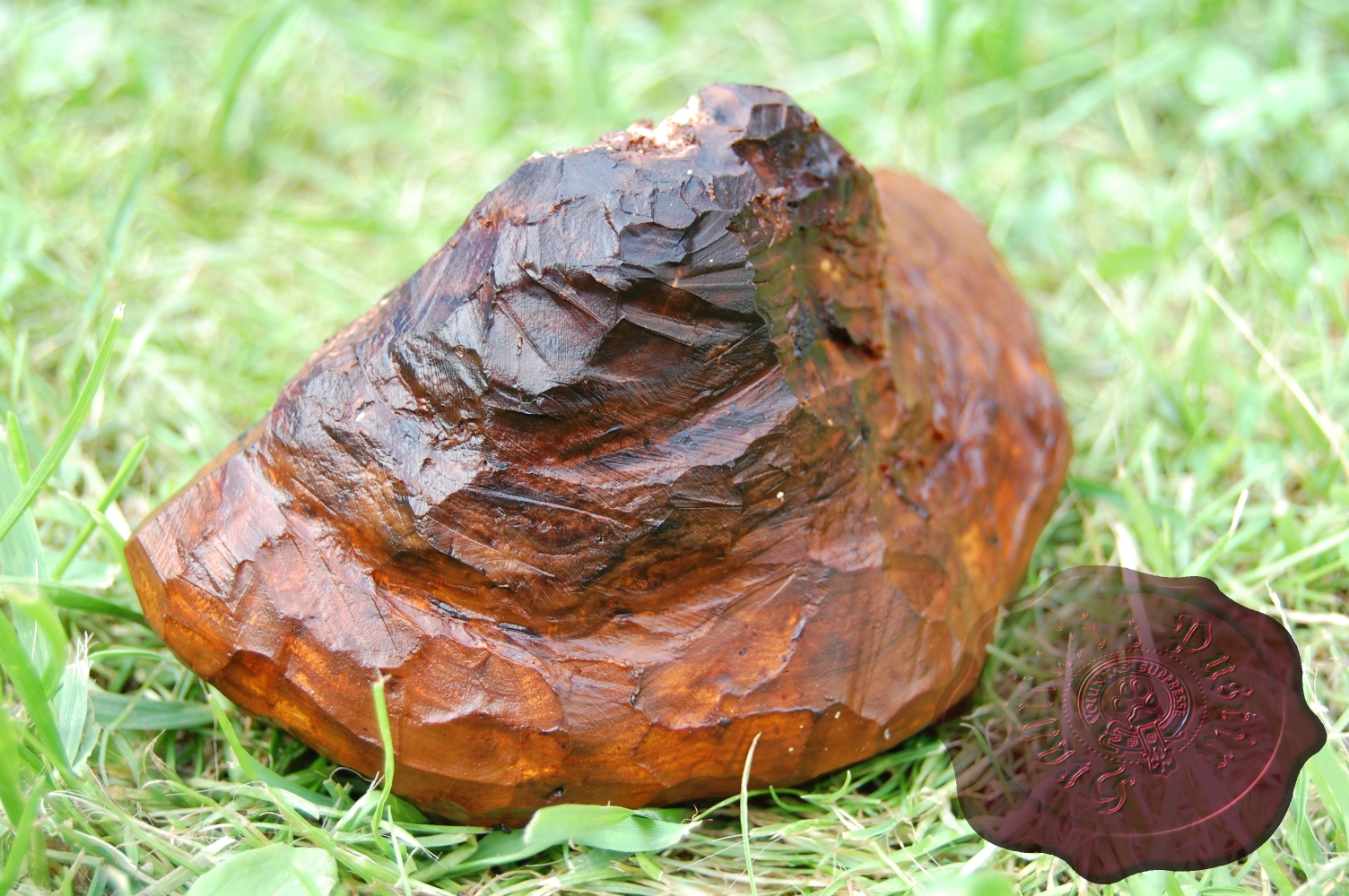 Wasteland Rangers: Jak vyrobit troud, díl první hubka – How to make ...