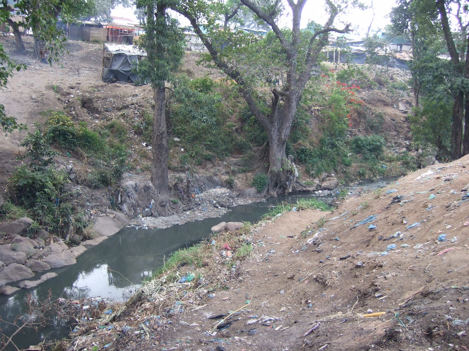 GSE Rotary 1200 to Africa: The Mudi River Project, Malawi