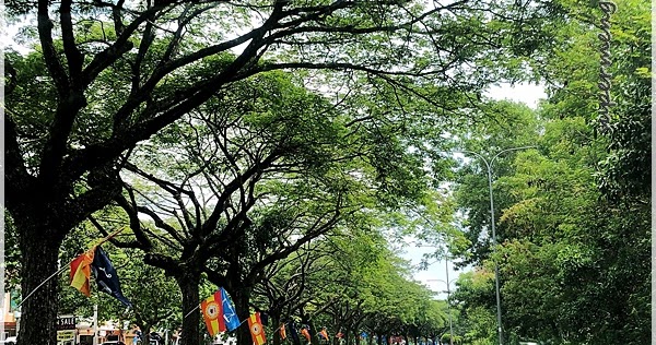 SUPERMENG MALAYA: WATIE CORNER, Nilai NS