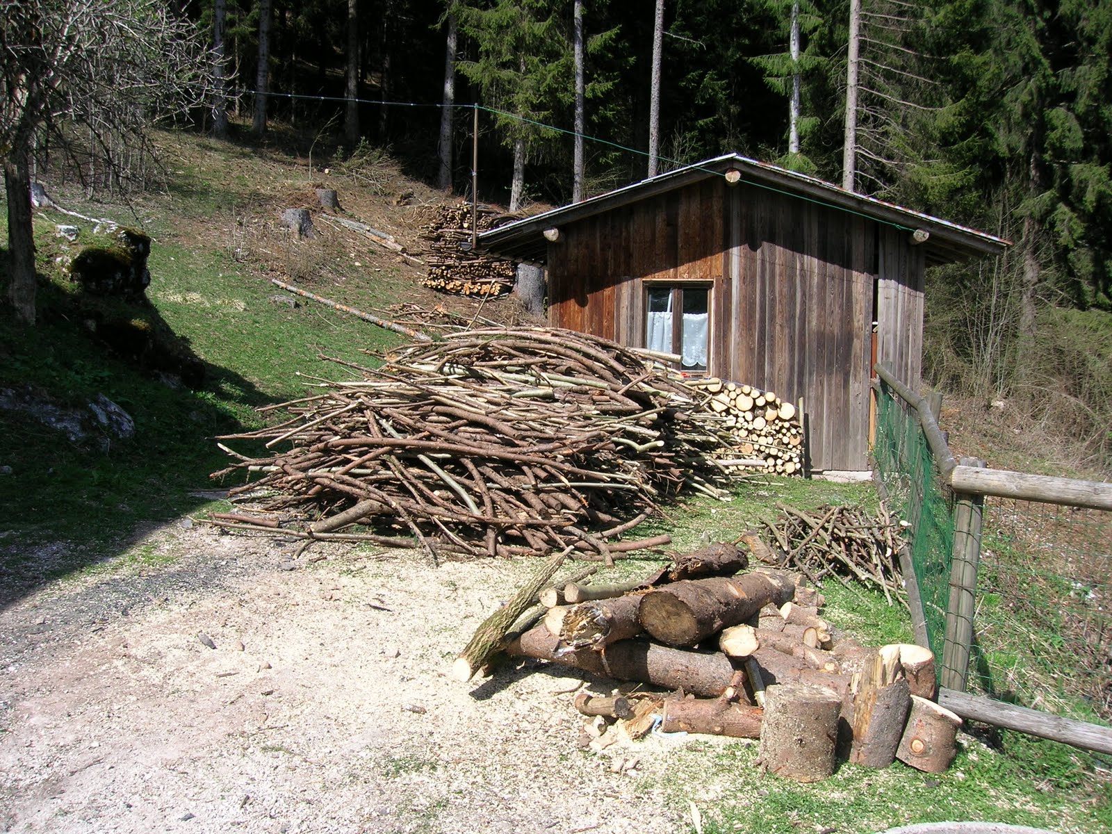 AGNER e DINTORNI : REPORT Giornata ecologica - Piandison Voltago Agordino