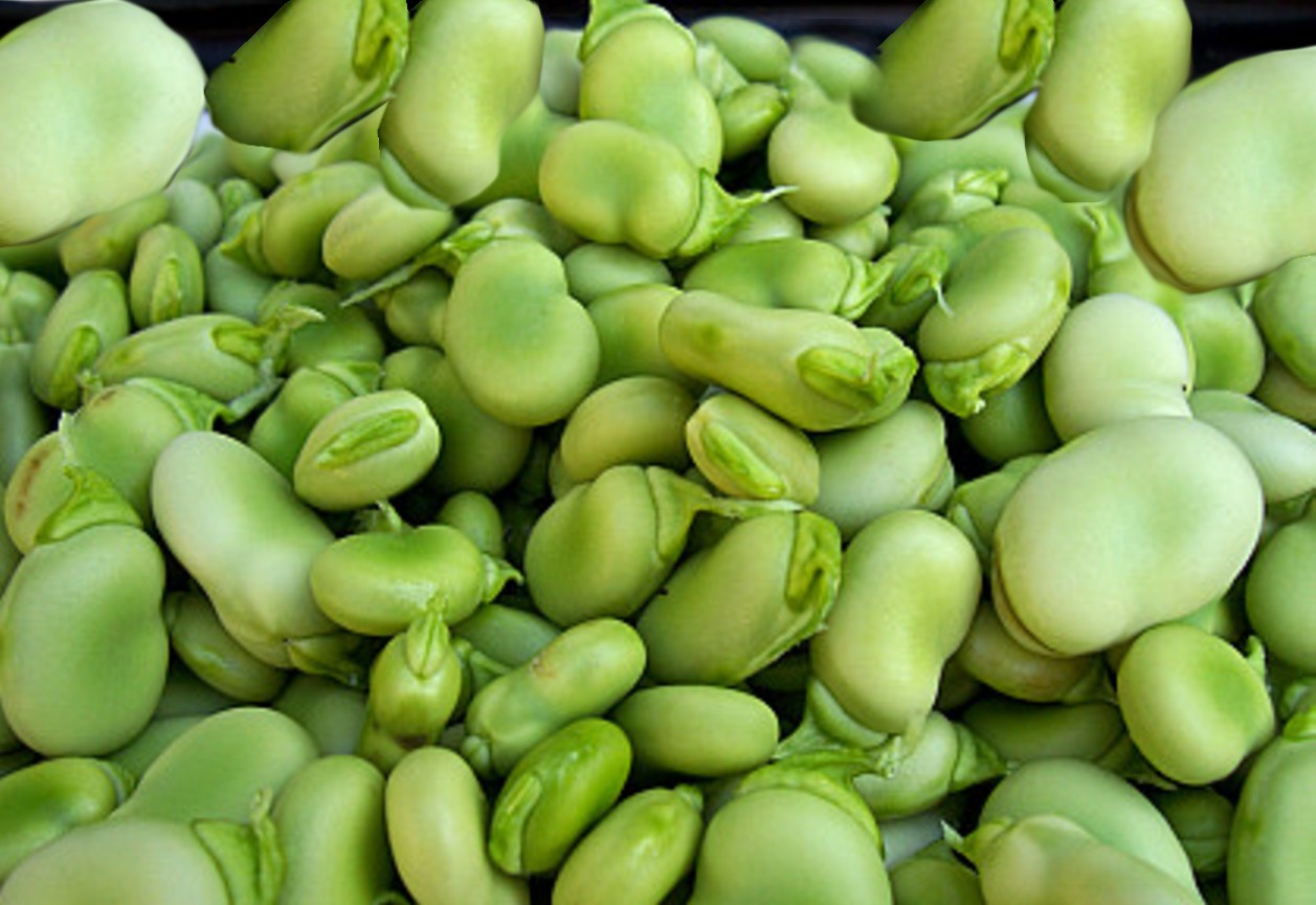 La Huerta de María González: Las Habas Mágicas.Cuentos para contar en ...