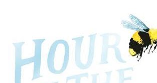 Jana The Teacher: Book Review: Hour of the Bees by Lindsay Eagar