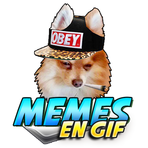 Video: Memes en Gif Branding