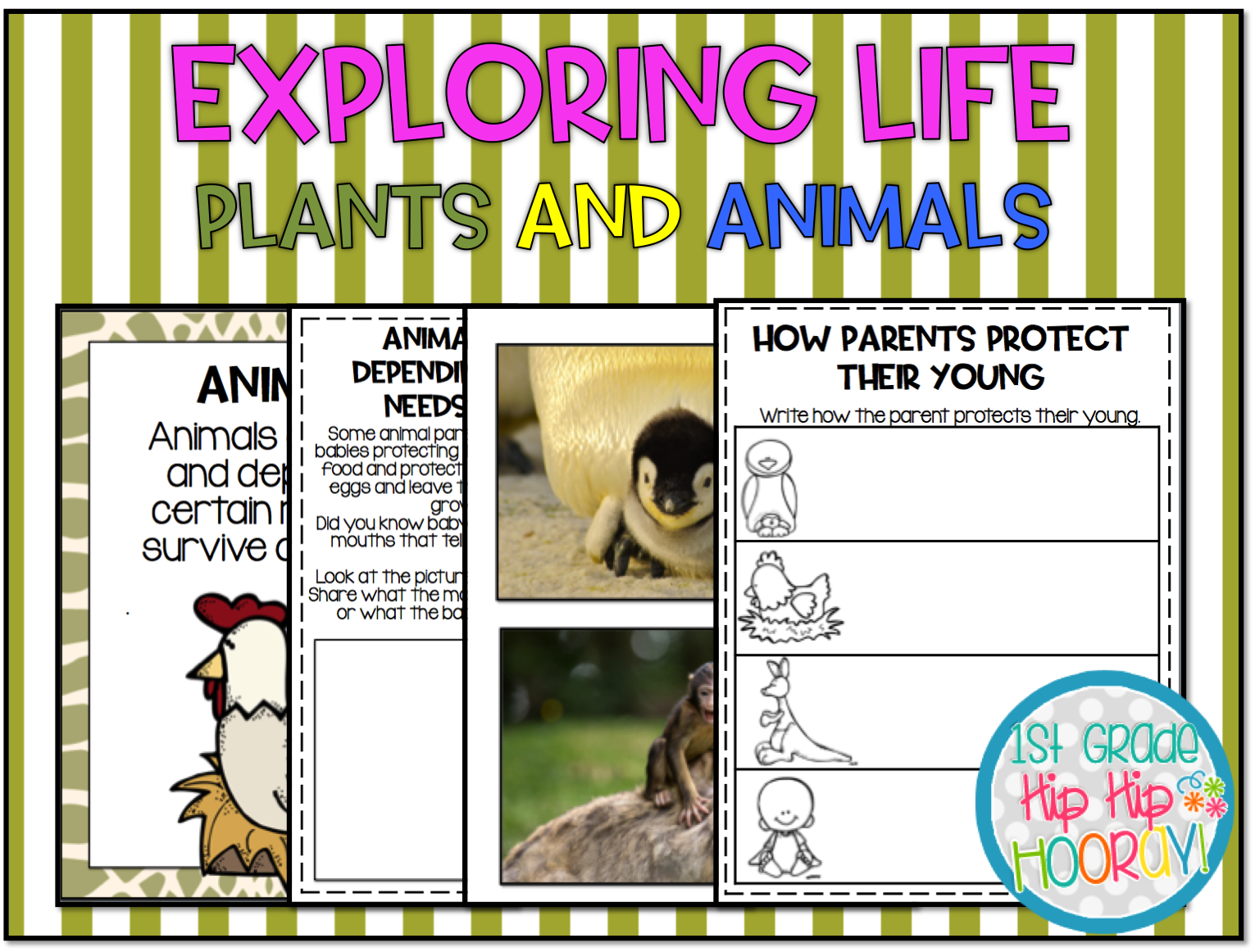 1st Grade Hip Hip Hooray!: Exploring Plants and Animals...NGSS