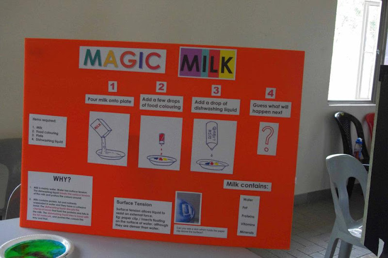 Unschooling Homeschool: Homeschool Science Fair 17 July 2012