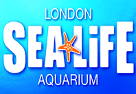 Accessible?: Sealife London Aquarium