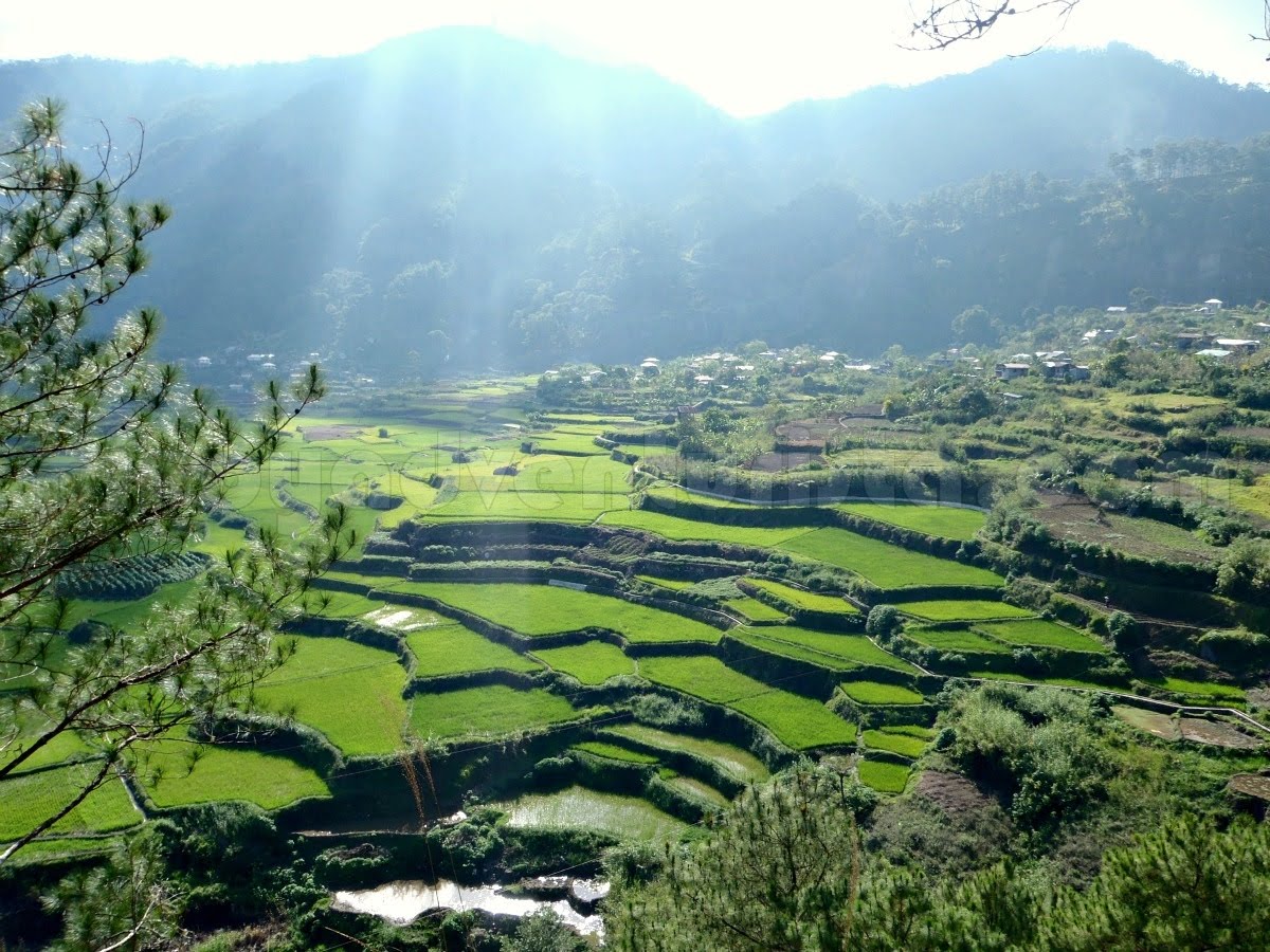 SAGADA TRAVEL GUIDE: 11 THINGS TO DO IN SAGADA (Tourist Spots ...