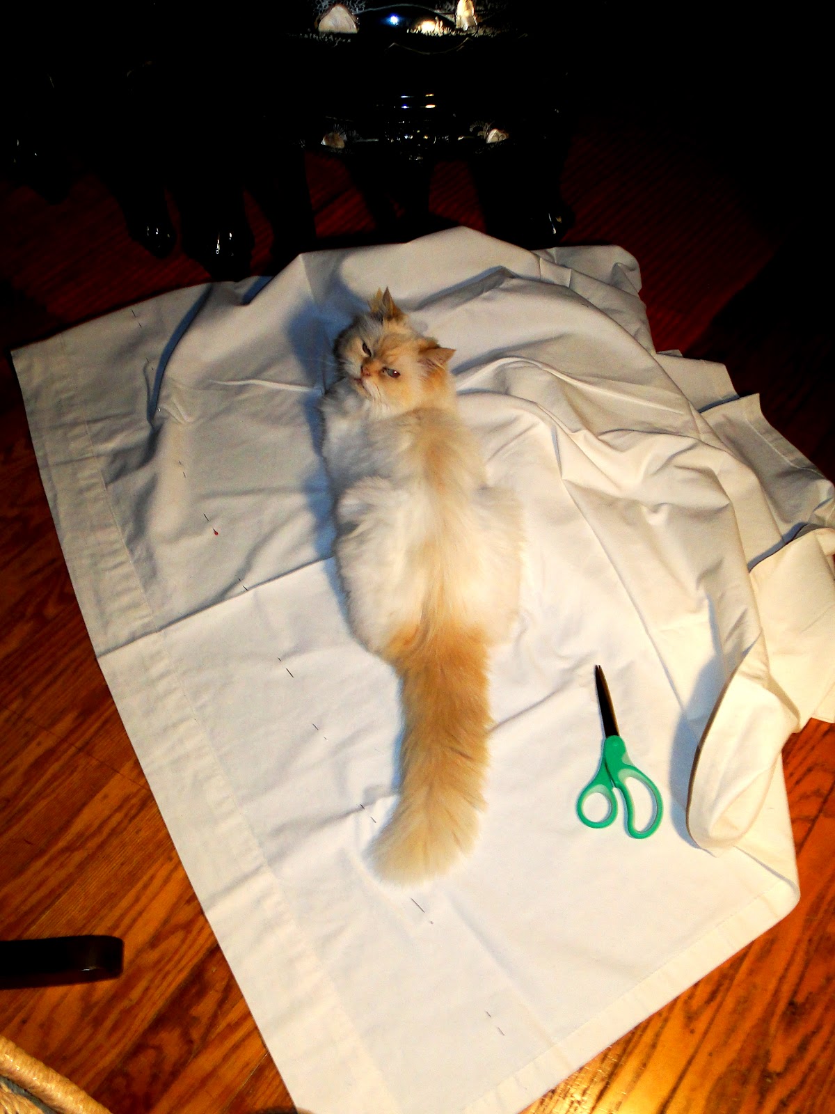 A Little Bit of British from Across The Pond: Tinkerbell and Purring