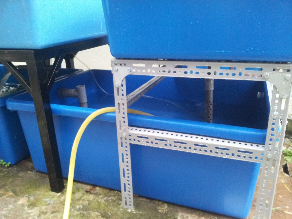 Affnan's Aquaponics: CRAFTS 1st Installation