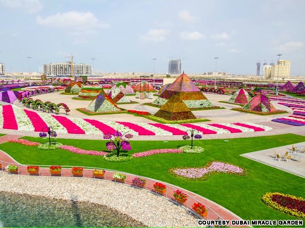 Dubai Showcases World's Largest Flower Garden | Grunf