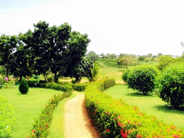 Sri Lanka's first-ever botanical gardens in the dry zone-Suriyawewa ...
