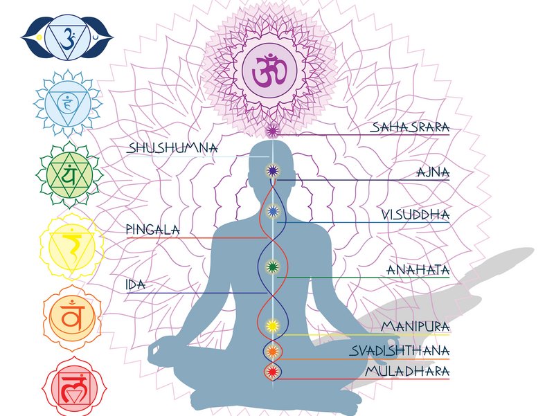 Yogashala Caracas: Los Nadis