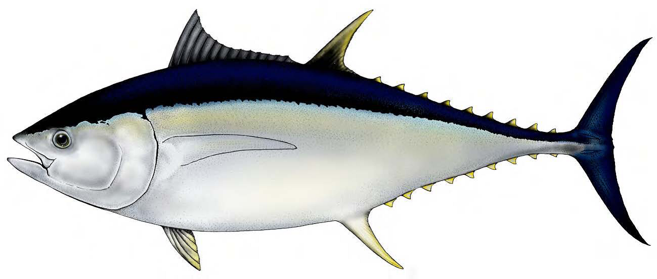 Development and Environment: 2013