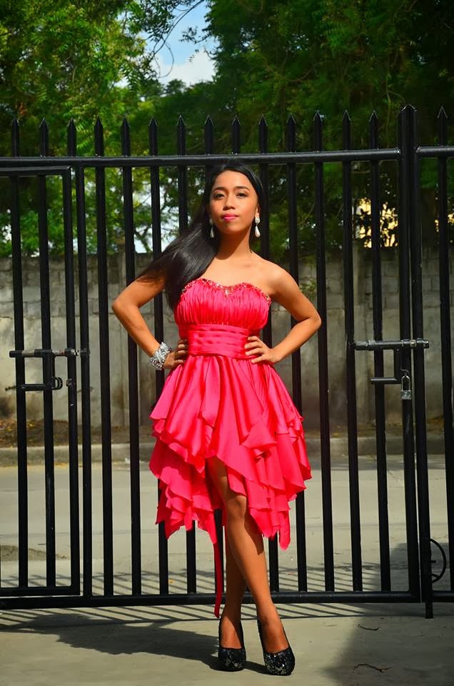 CHIC CHEAPSKATE: NISE DRESS UP COLLECTION